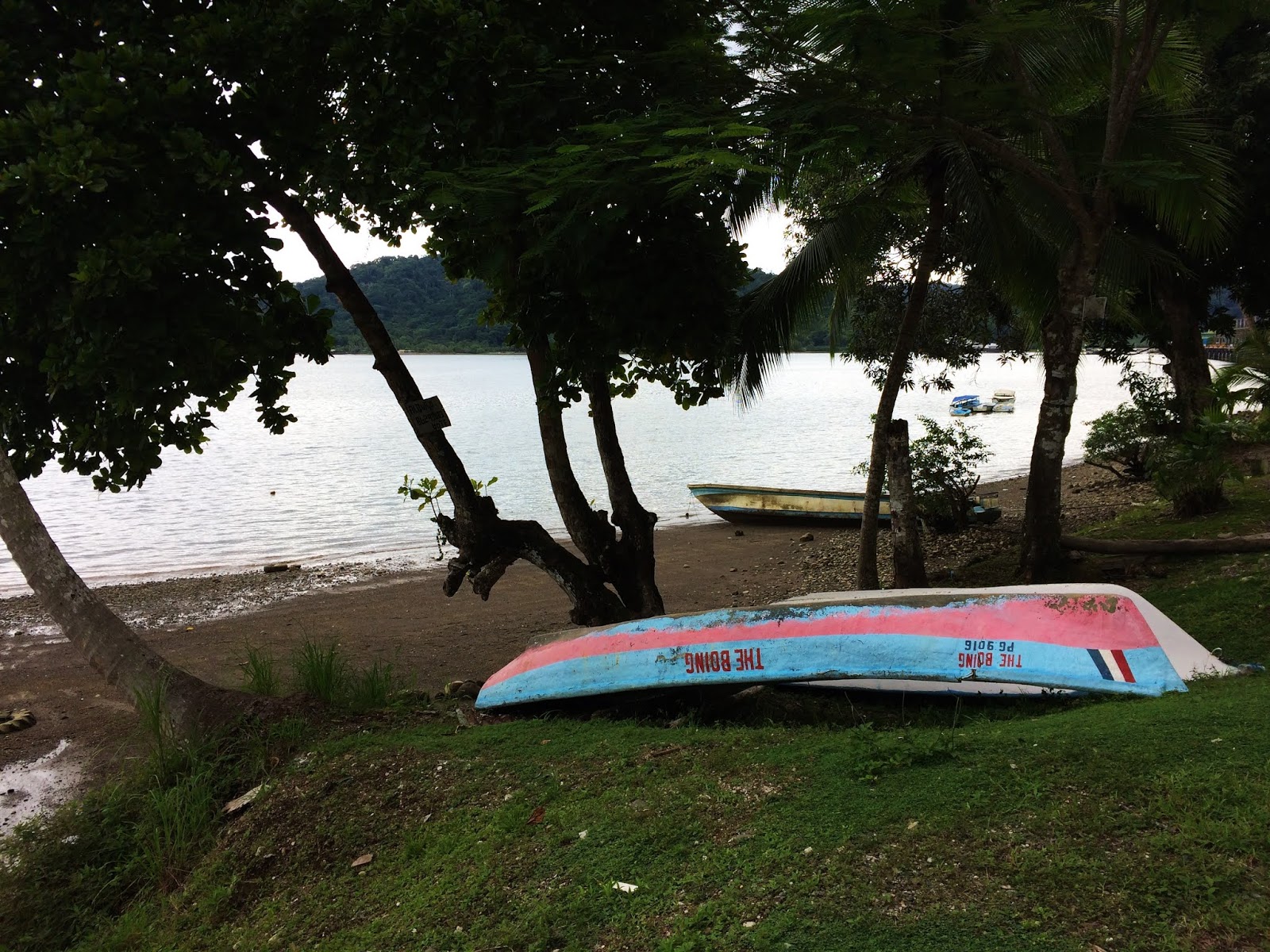 (Un poco más que) un día en: Golfito