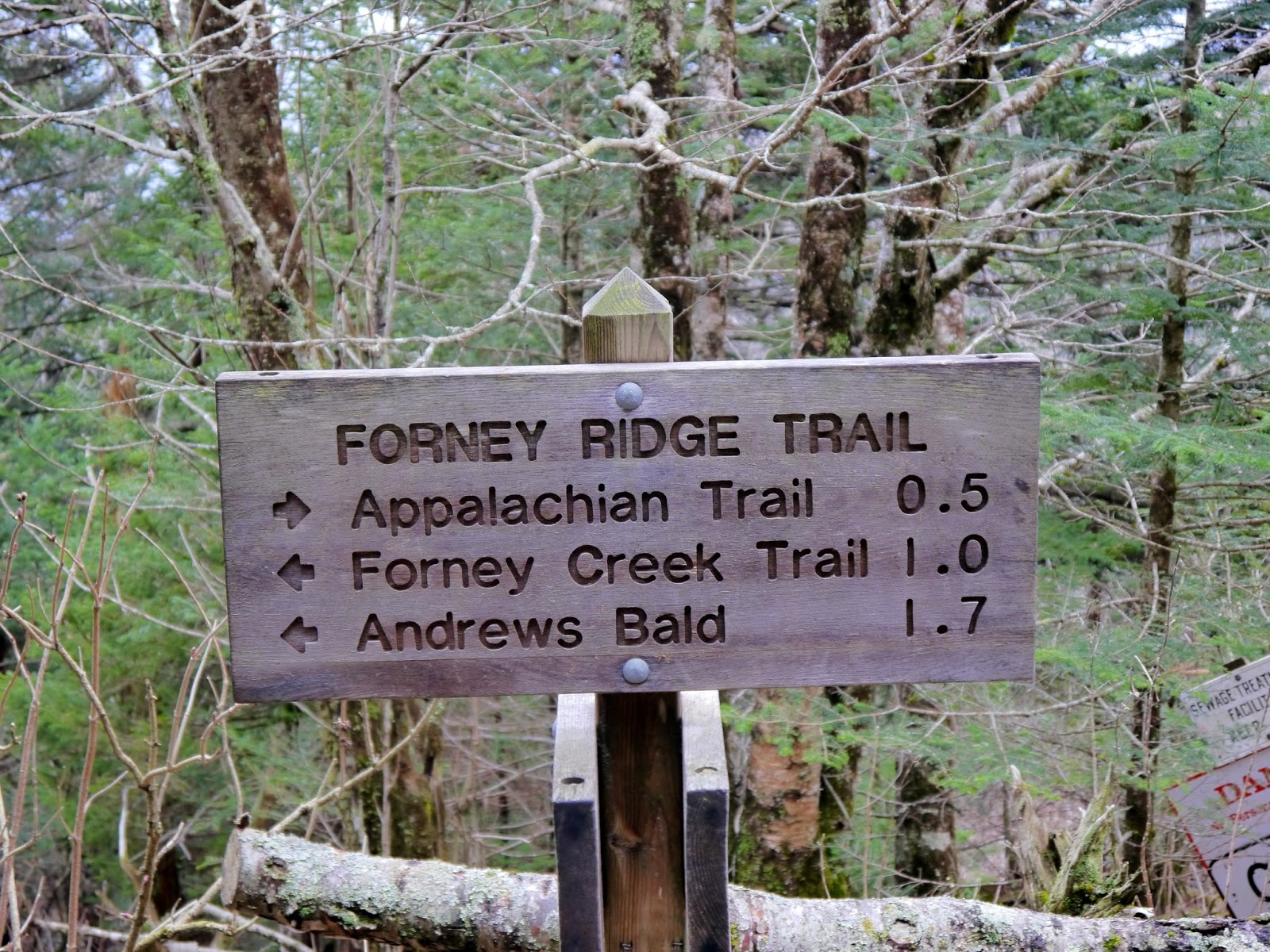 American Travel Journal: Forney Ridge Trail - Great Smoky Mountains ...