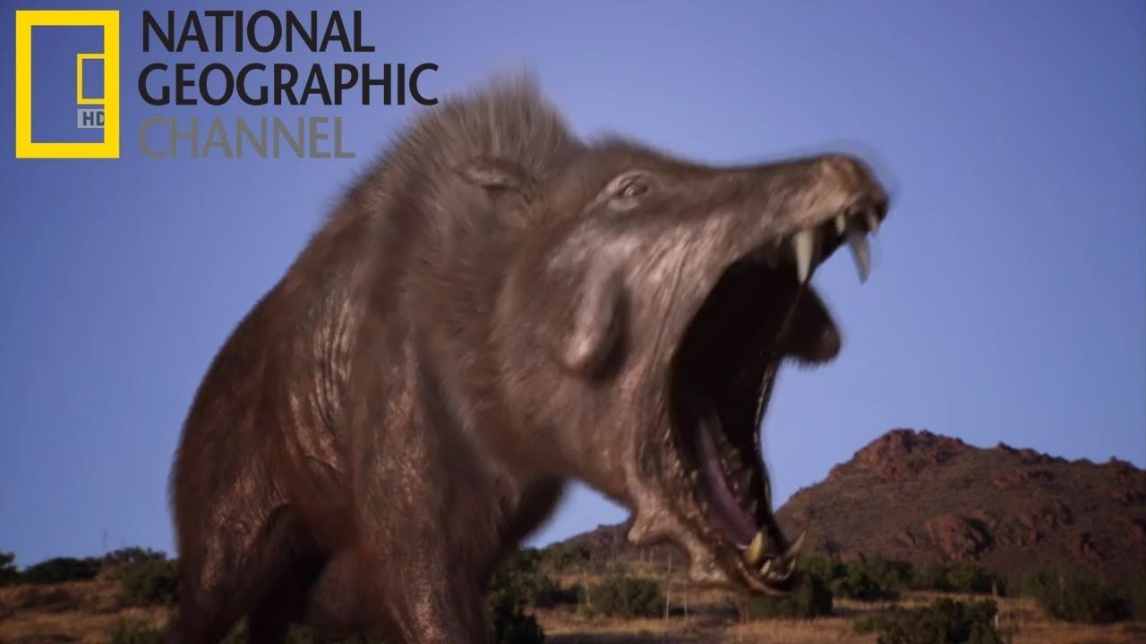 MUNDO PREHISTORICO: Series de TV