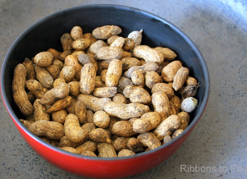 Nozongo and Coal Grilled Chibage from Zimbabwe - Ribbons to Pastas