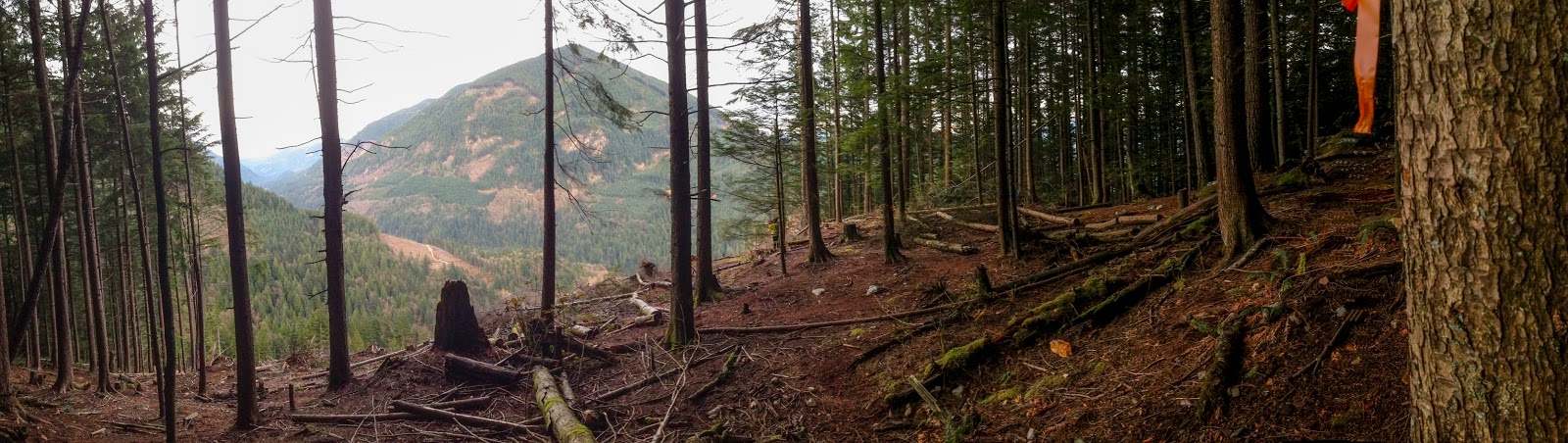 The Hapa Canadian: Dewdney Grind + Dewdney Peak, BC in November