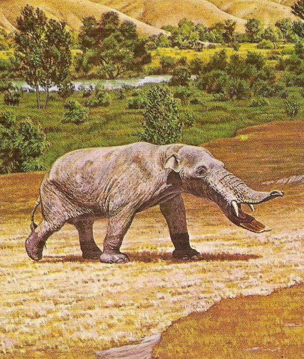 AGATHAUMAS: M'ammalia: gli scenari cenozoici di Jay Matternes