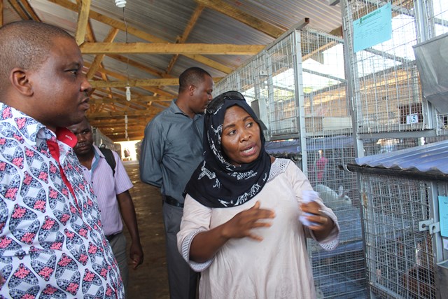 SERIKALI YAIPONGEZA NAMAINGO KUGAWA MIRADI YA SUNGURA KWA WAJASIRIAMALI ...