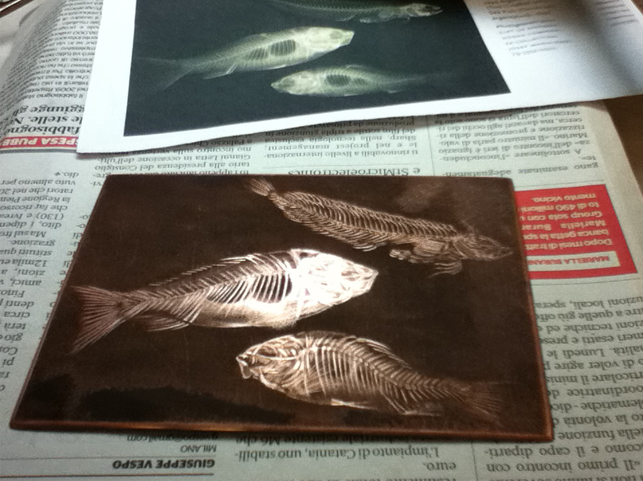 Imparare l'Incisione e la Stampa d'Arte