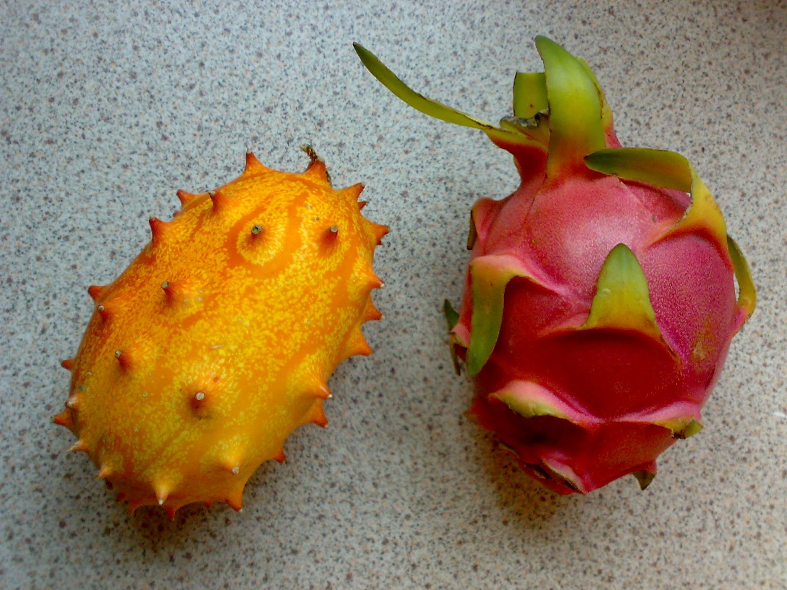 Amazing Dragonfruit Pitaya : Nature Miracle Fruit | Most Unbelievable ...