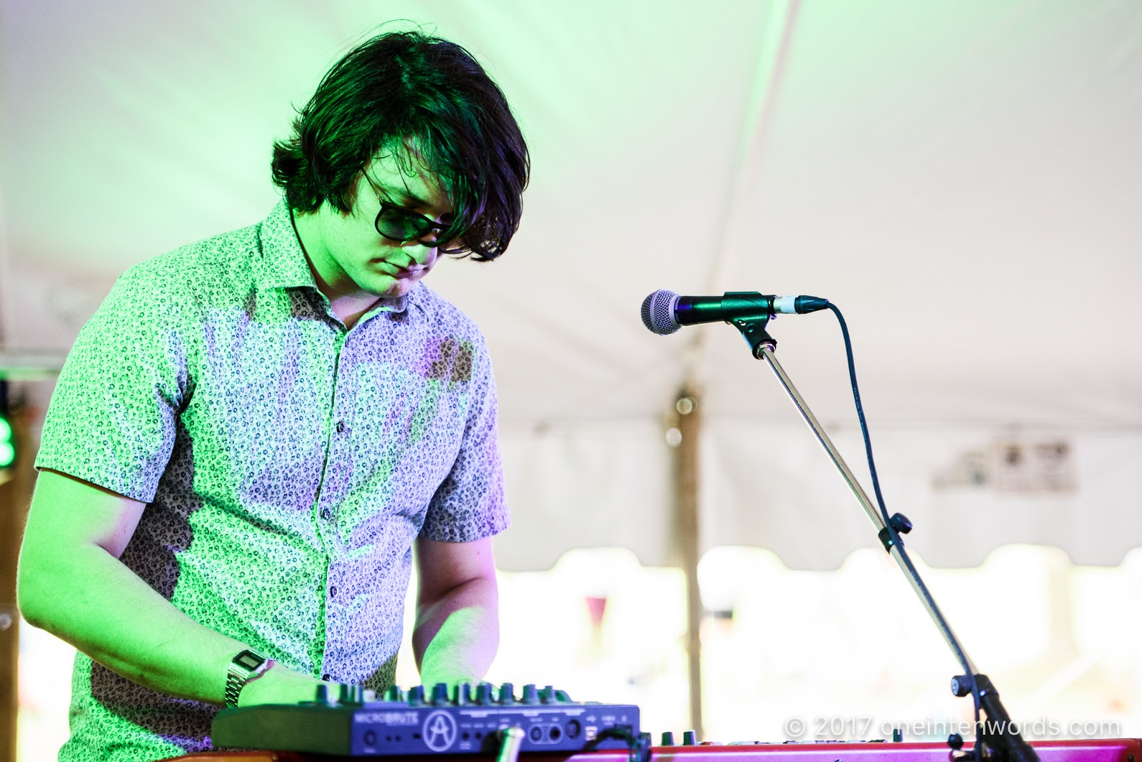 one in ten words: Riverfest Elora 2017: Odd Years - Concert Pictures