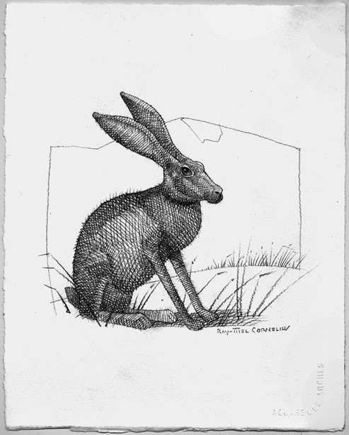 Ray-Mel Cornelius: More drawings