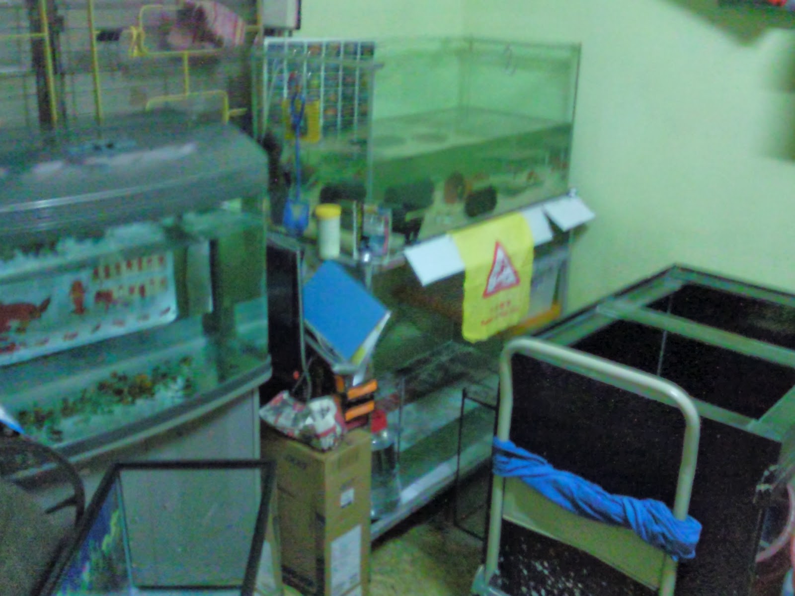 Tropical Fisher Man Fish Tanks And Aquarium CRS: Aquarium Home Multiple ...