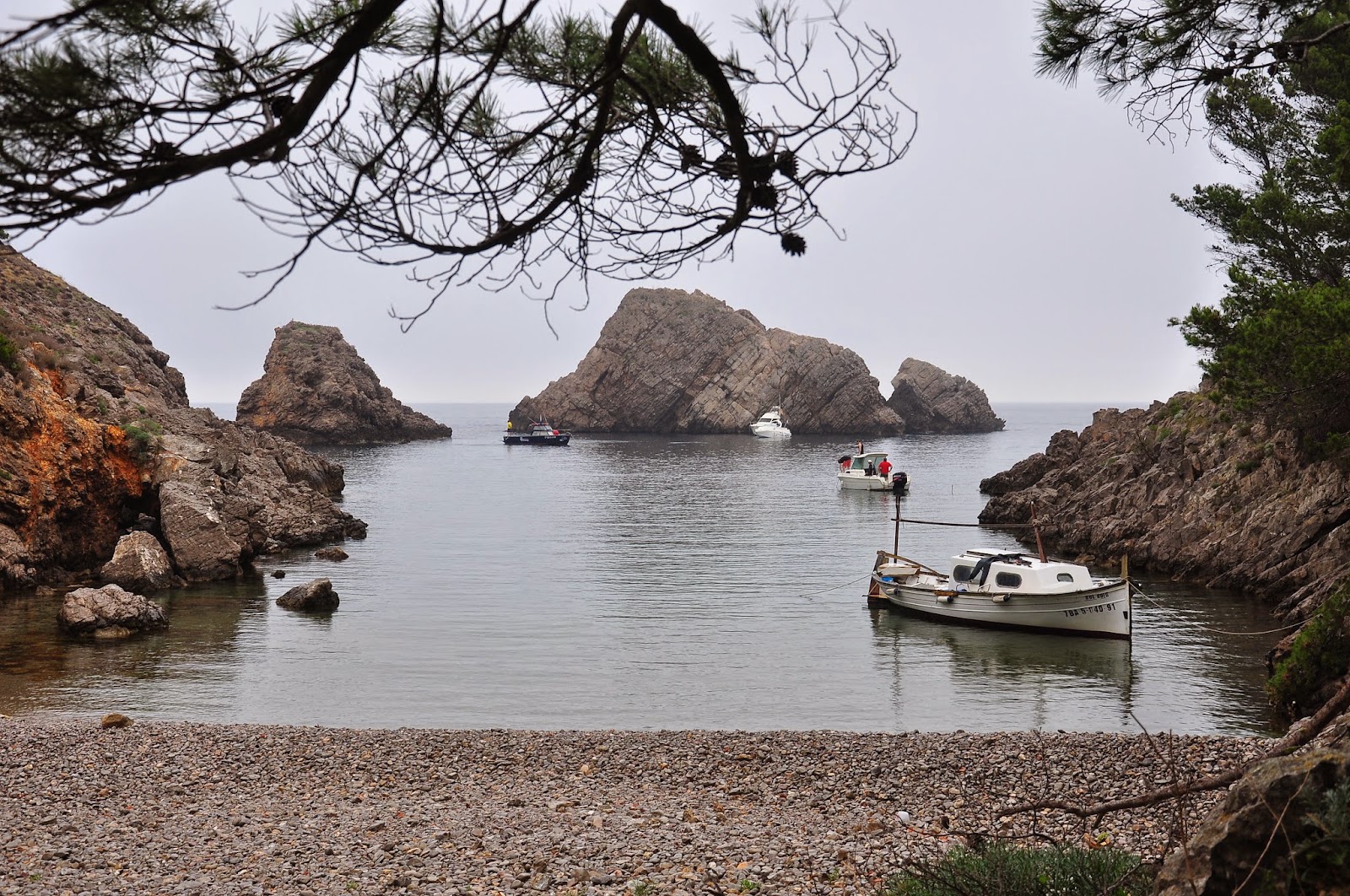 Amunt Sempre Amunt: Les cales del Montgrí: Cala Pedrosa i Cala Ferriol