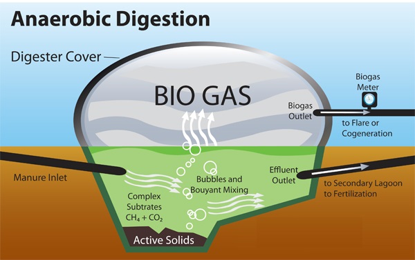 Pengertian Biogas Lengkap Dengan Manfaat dan Cara Membuatnya - Artikel ...