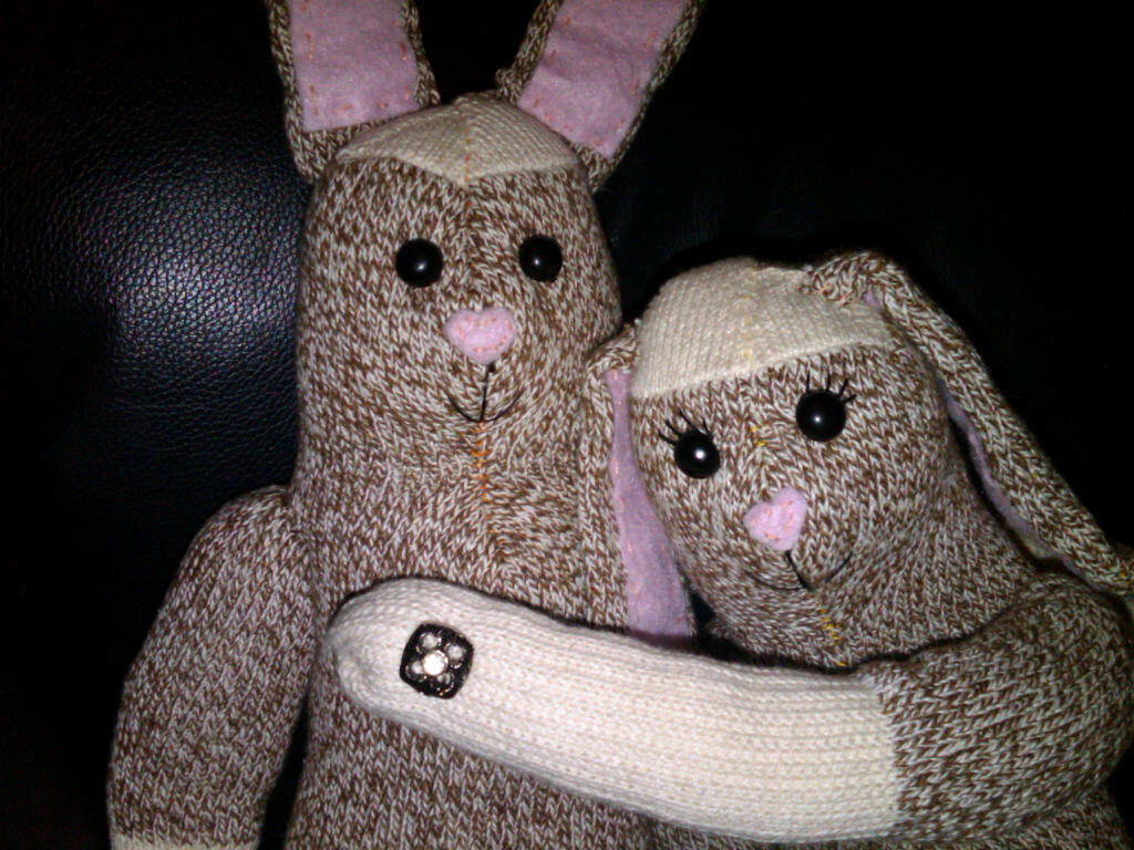 May 2011 | Daisy to Sunflower