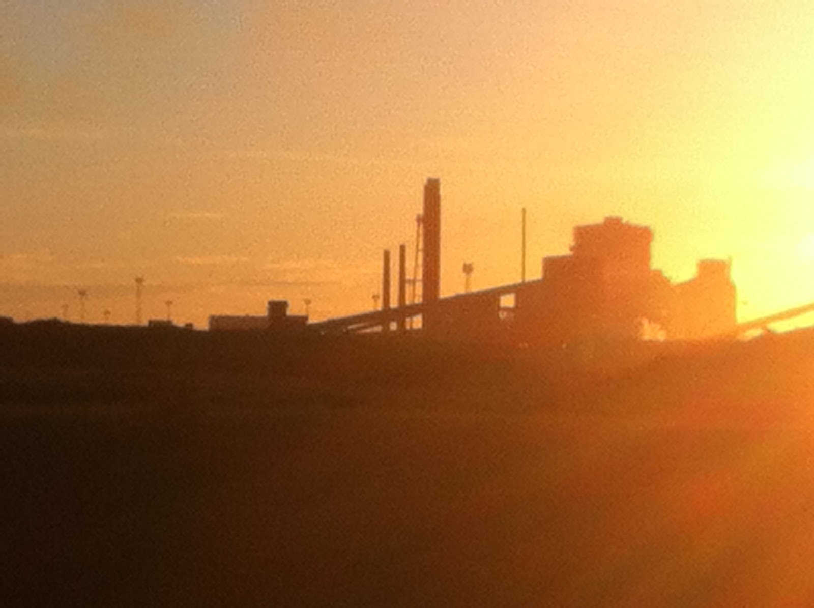 Redcar, North Yorkshire, UK.: Coatham Marsh Nature Reserve images
