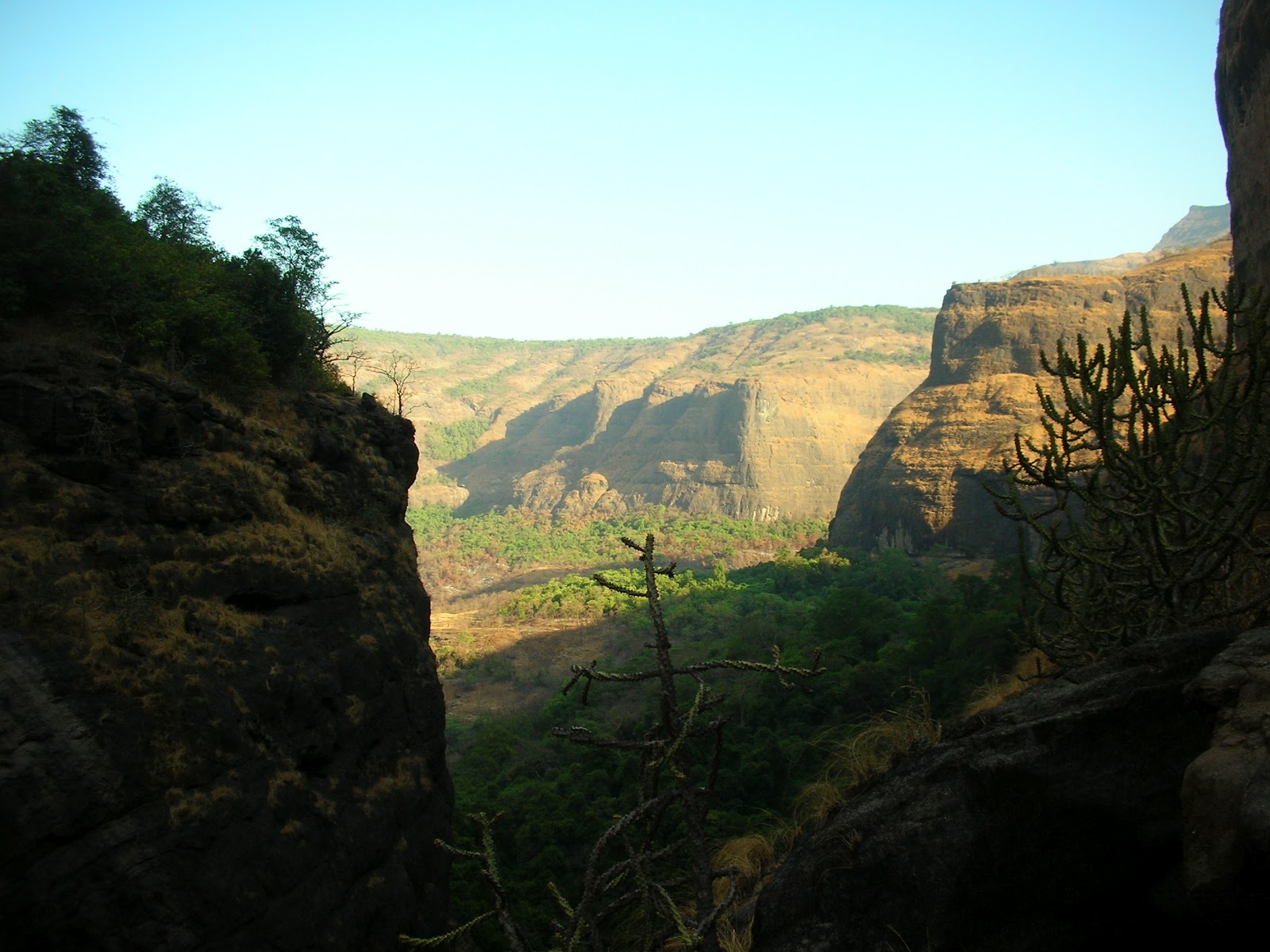 The wandering soul: Plus Valley Tamhini Ghat