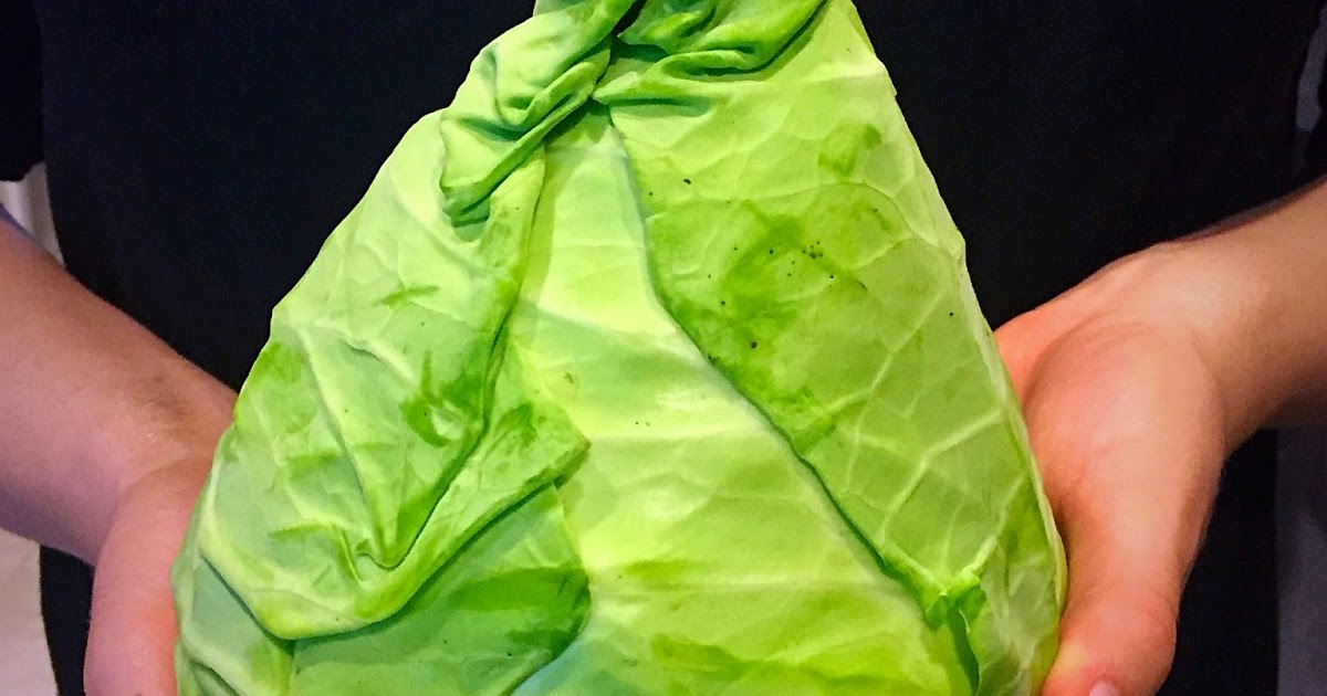 What is Cone Cabbage? + Deconstructed Asian Cabbage Roll Recipe