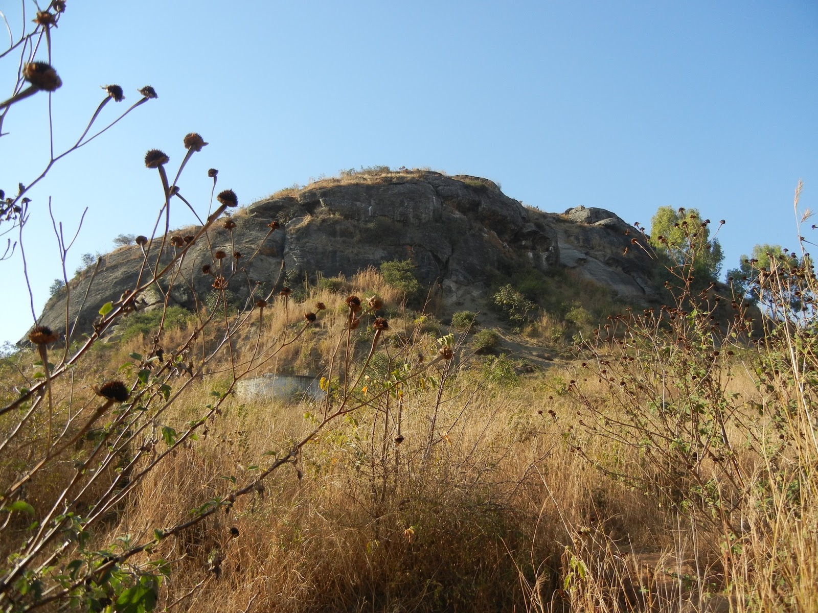 Leo in Malawi: Chinungu Hill near Ekwendeni - Part I