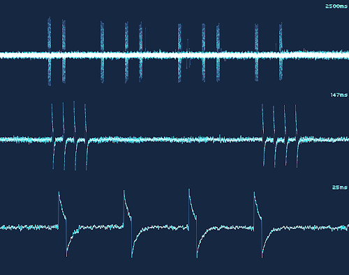 absorptions: The GSM buzz