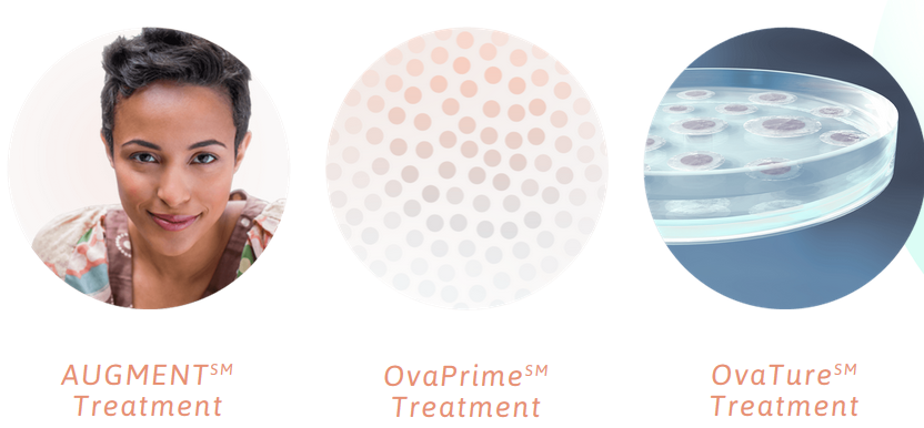 Stem Cells that are precursors to eggs are used to provide youthful ...