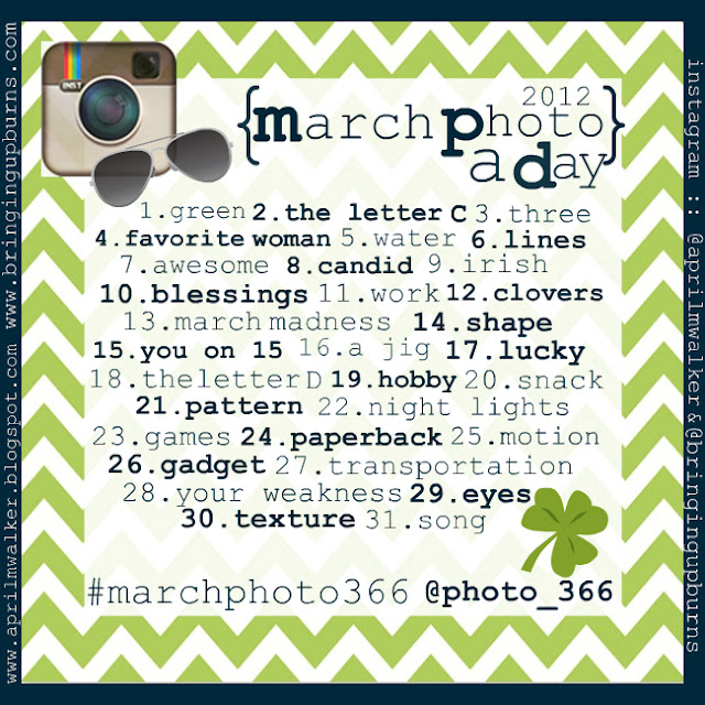 February photo challenge... complete! | Joy's Hope
