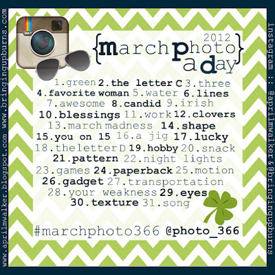 February photo challenge... complete! | Joy's Hope