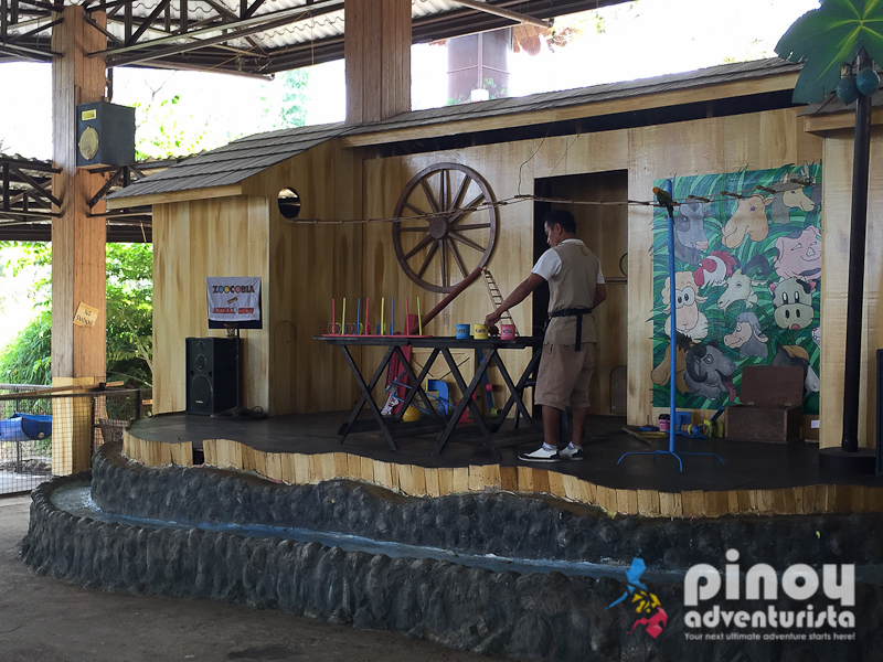 TOP PICKS: 15 Fun and Exciting Things To Do in Zoocobia Fun Zoo You ...