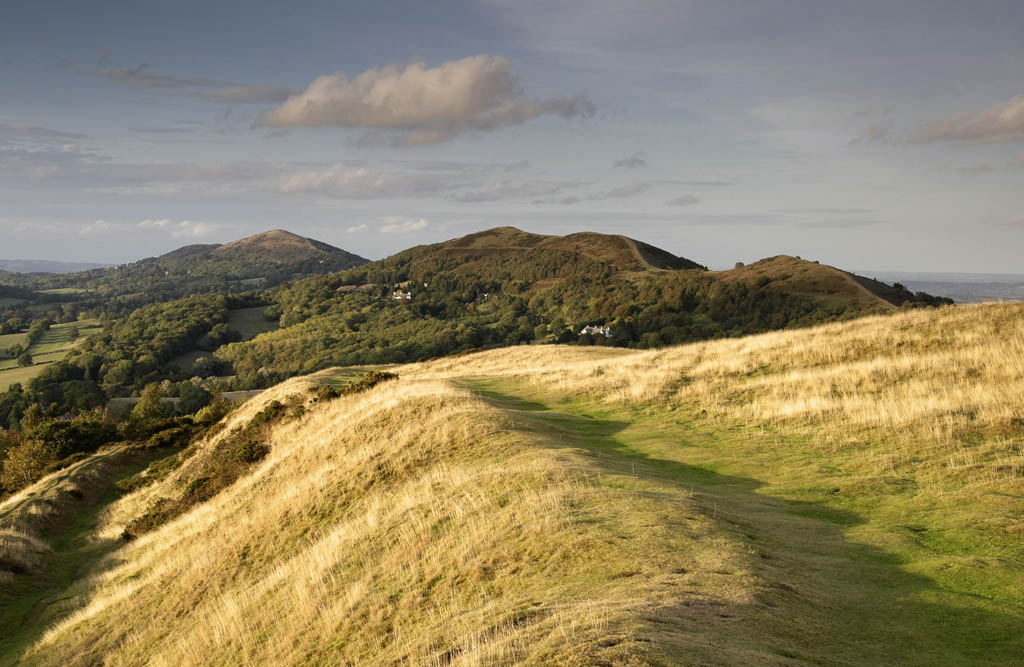 Neil Atkinson photographer: 2011