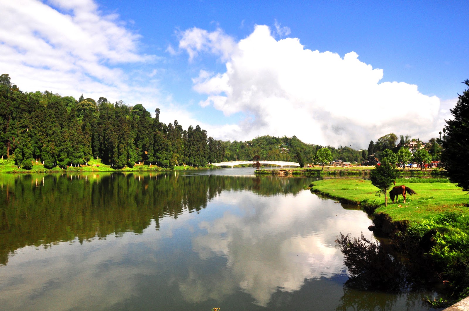 PHOTOGRAPHS UP AND DOWN THE LANE: Mirik