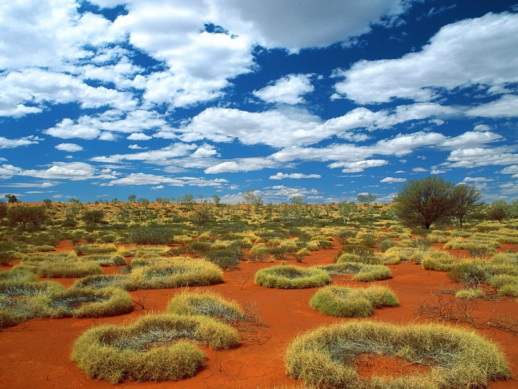 Wallpapers Sols: Australian Outback Wallpaper