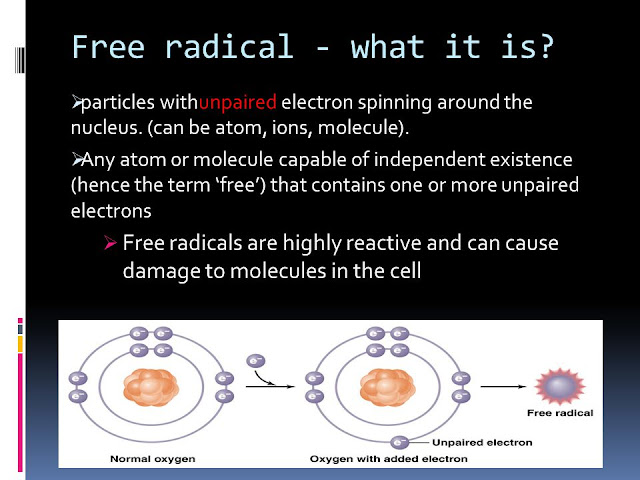 Molecular ion and Free Radical ~ guruchemist