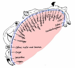 begin to dig: Mick Wilkinson Part II: The Sensitive Sole of Barefoot ...