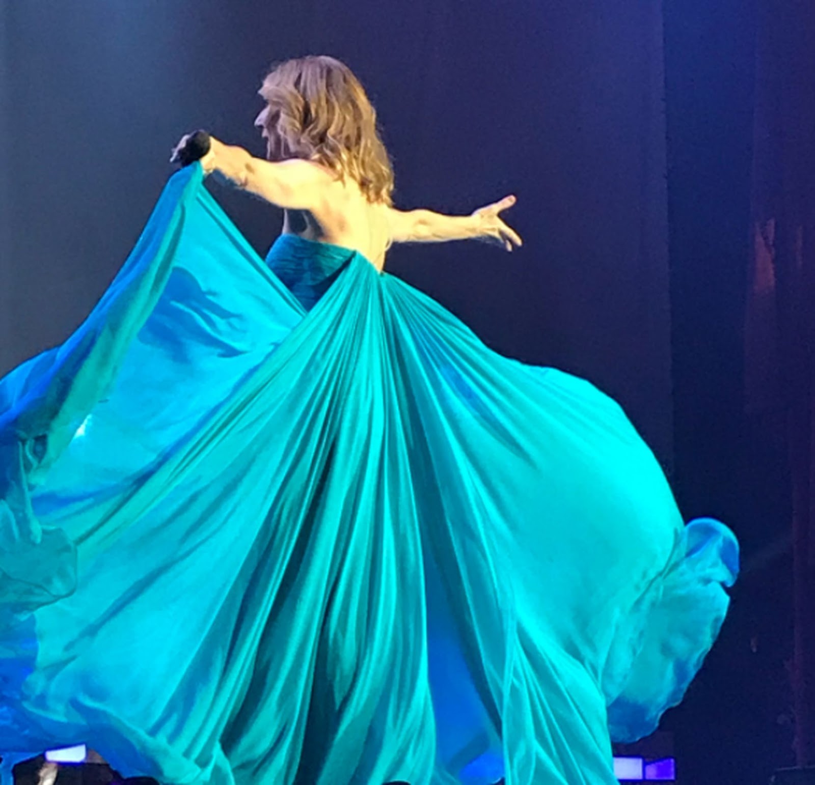 The Power Of Love - Celine Dion: Show Celine Live in Las Vegas ...