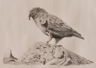 Art by Tanya Dann: Portraits/Wildlife drawings - the latest piece