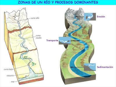 Unidad 4 - 1º de ESO