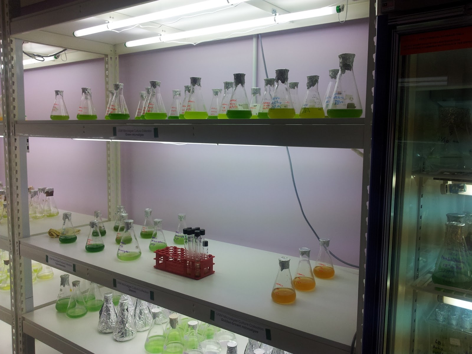 Plankton Research Laboratory: Facilities & Scientific Equipments