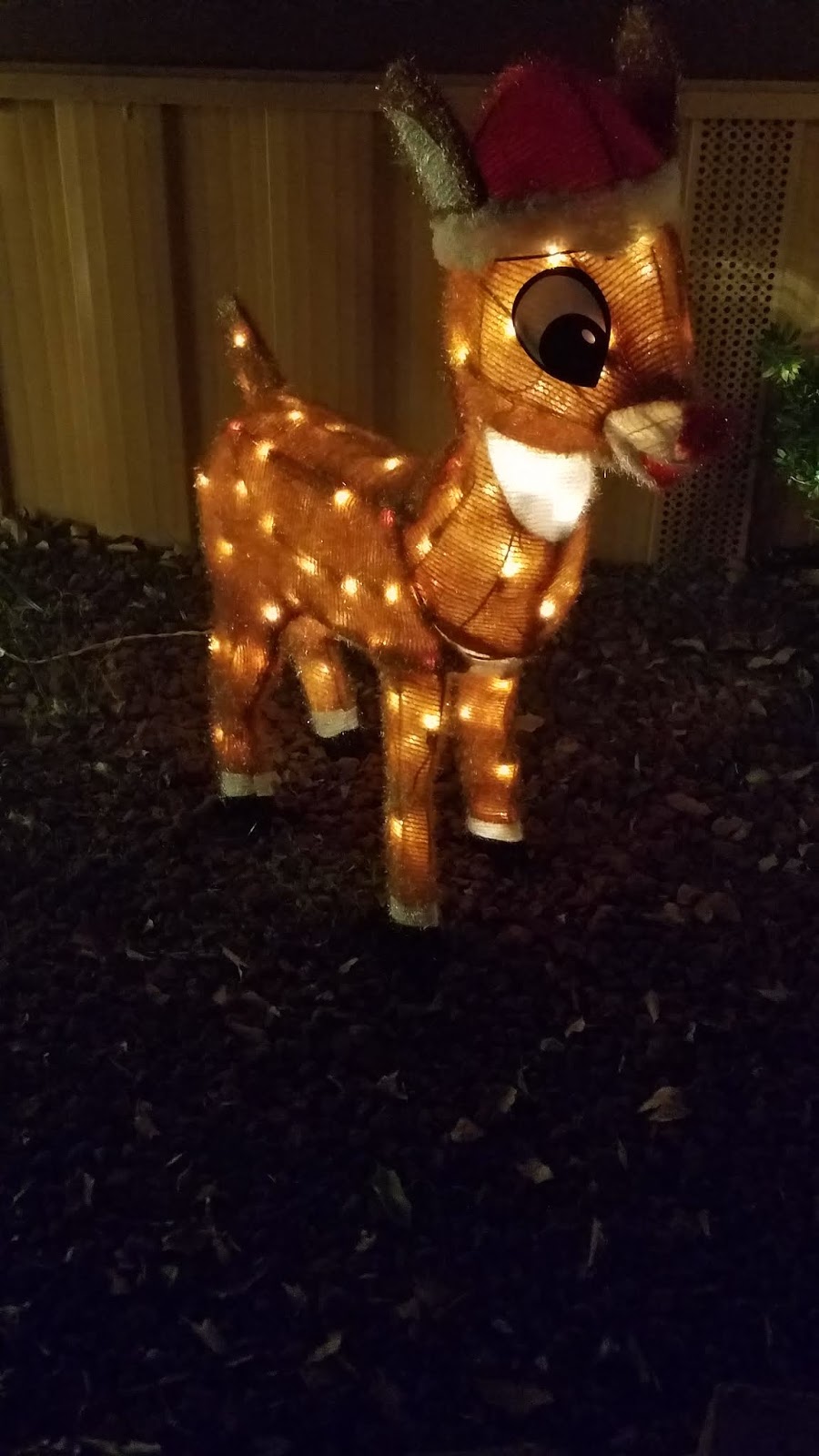 Adventures in Weseland: Random Christmas Photos