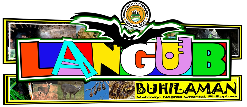 Langub Festival 2013 ~ Municipality of Mabinay