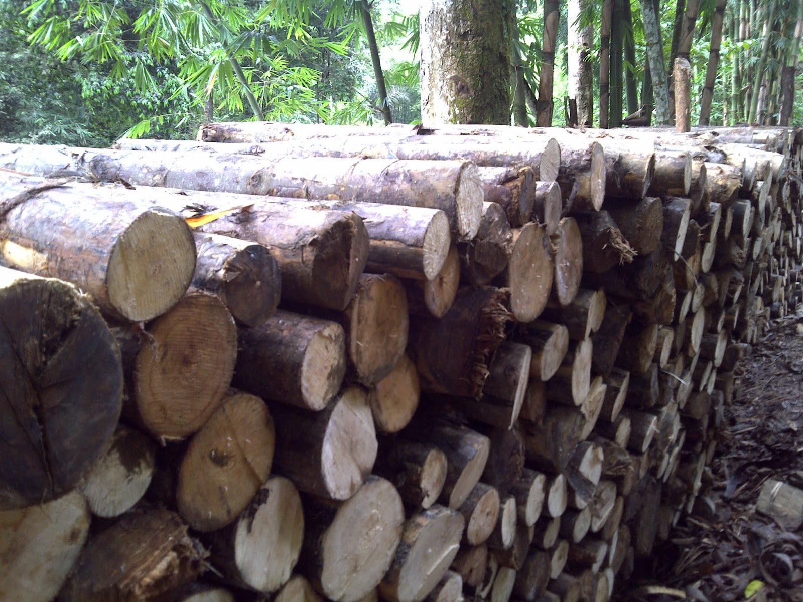Pariwisata UNJ: Mengenal Folklore Bukan Lisan Suku Baduy