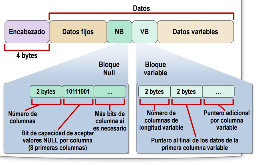 Base de Datos 1: Microsoft SQL Server
