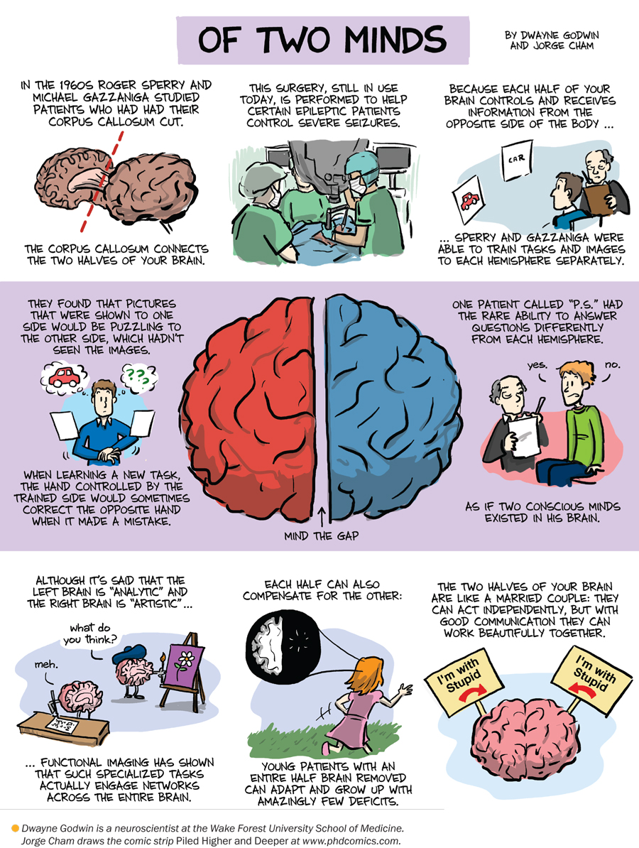 MEMORIA HUMANA: Of two Minds