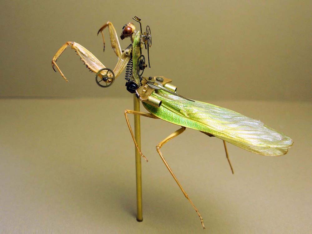 Surrealism and Visionary art: Mike Libby