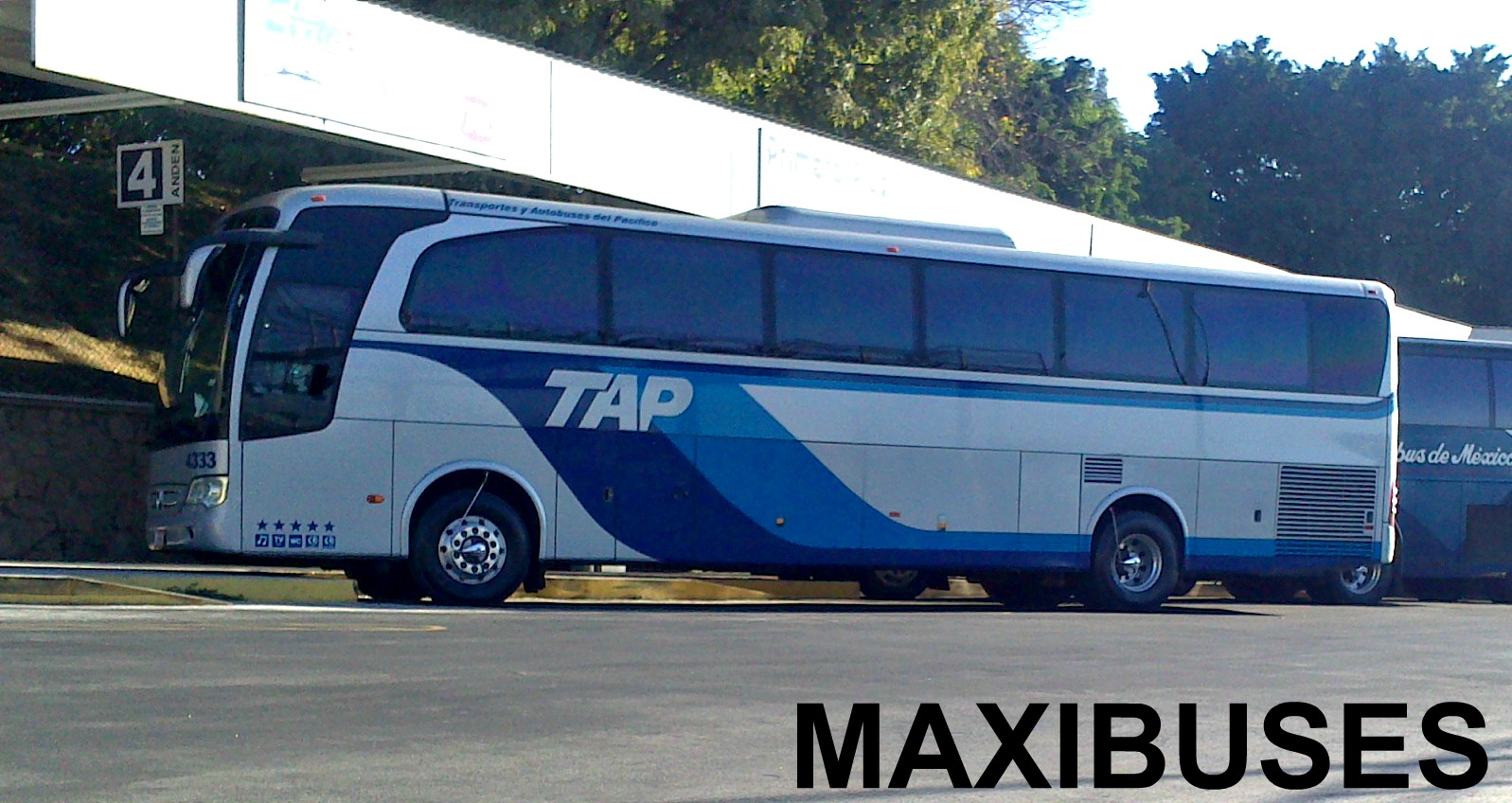 MAXIBUSES: TRANSPORTES Y AUTOBUSES DEL PACÍFICO, PLUS (TAP)