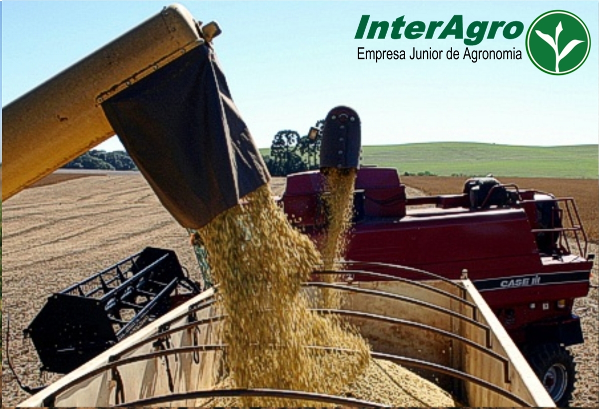 InterAgro: Papéis de Parede InterAgro 2011