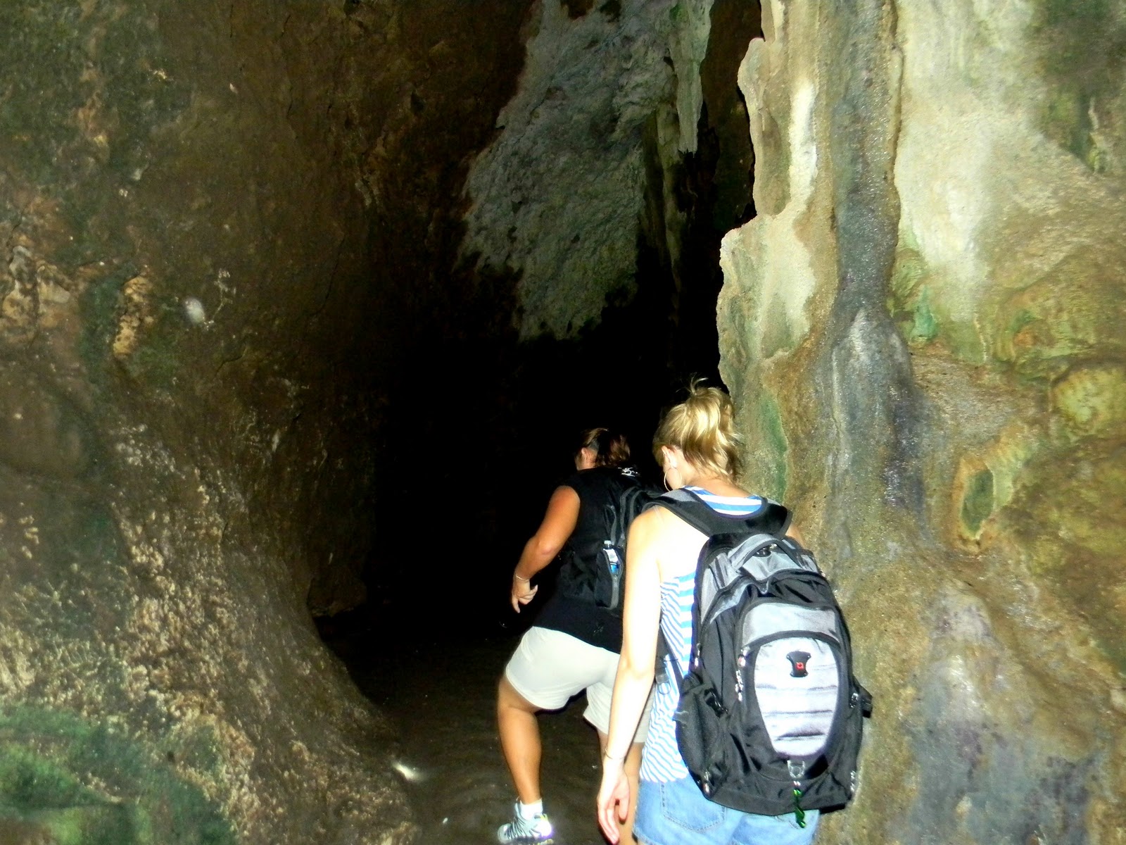Bat Cave Puerto Rico at Joseph Florence blog
