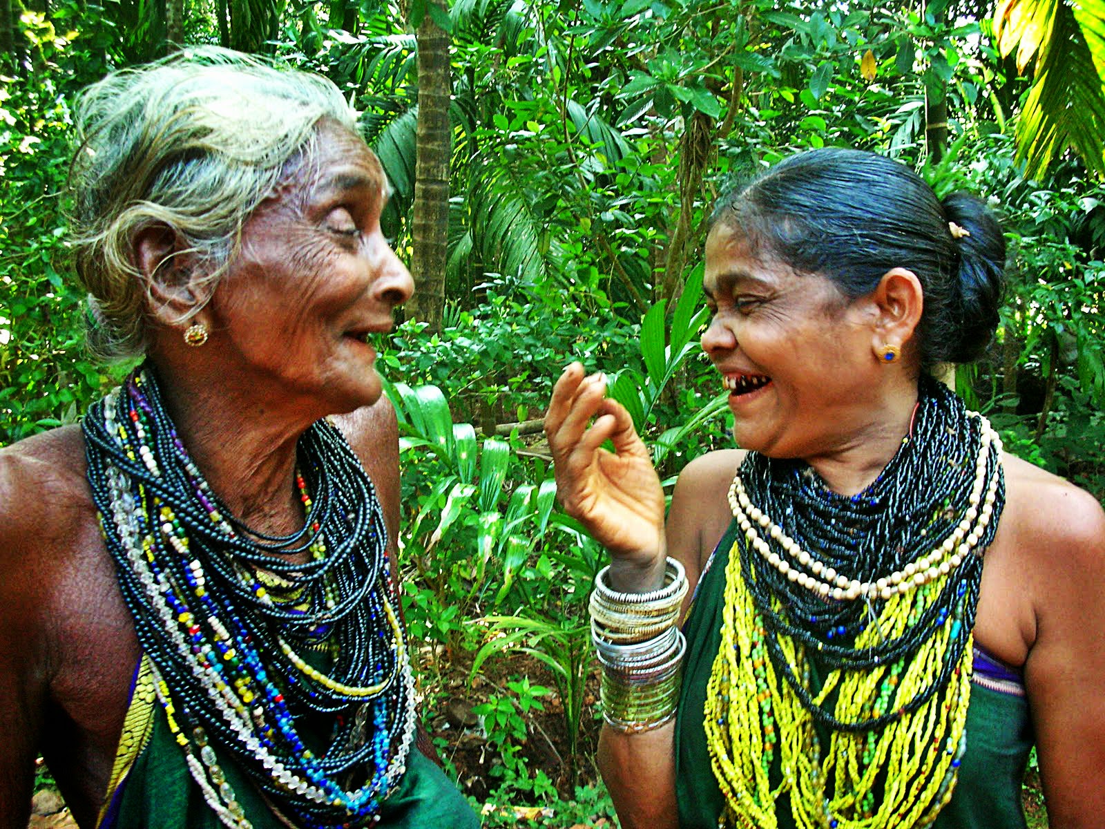 A garden in my pocket : Halakki Vokkaliga