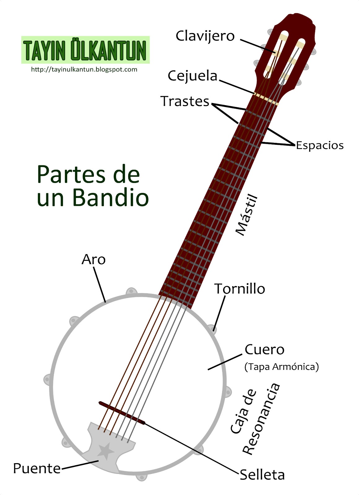 Tayin Ülkantun: El Bandio o Banjo Mapuche (Parte 2)