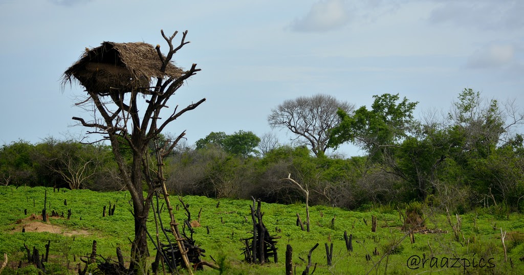 Sustainable Farming Systems for Development