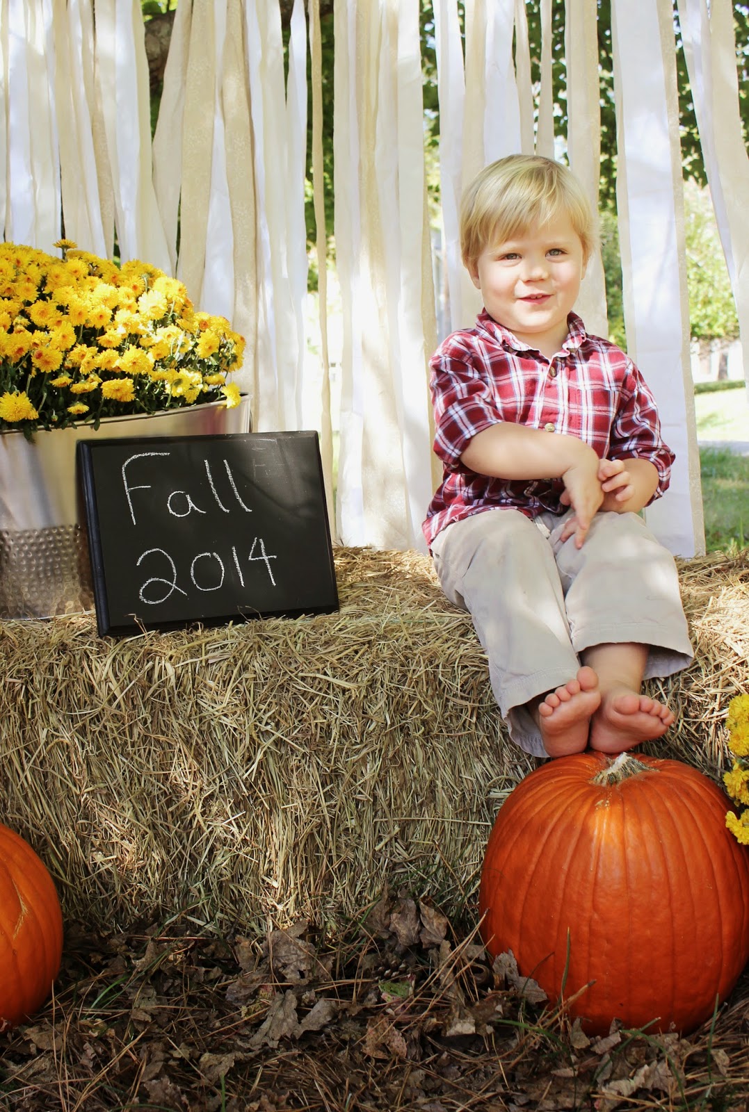 A Practical Pair: DIY Fabric Strip Backdrop
