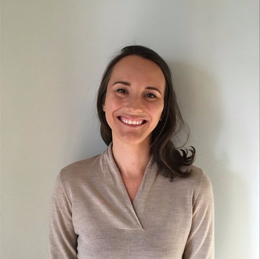 Steve Hargadon: January 2018