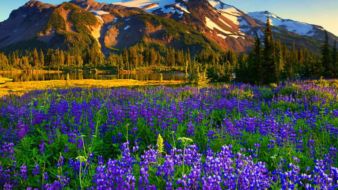 bobeiras em geral: Belas Paisagens