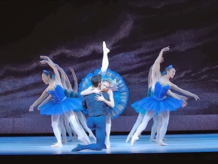 Red Cardinal: BLUE AND WHITE AT THE BALLET