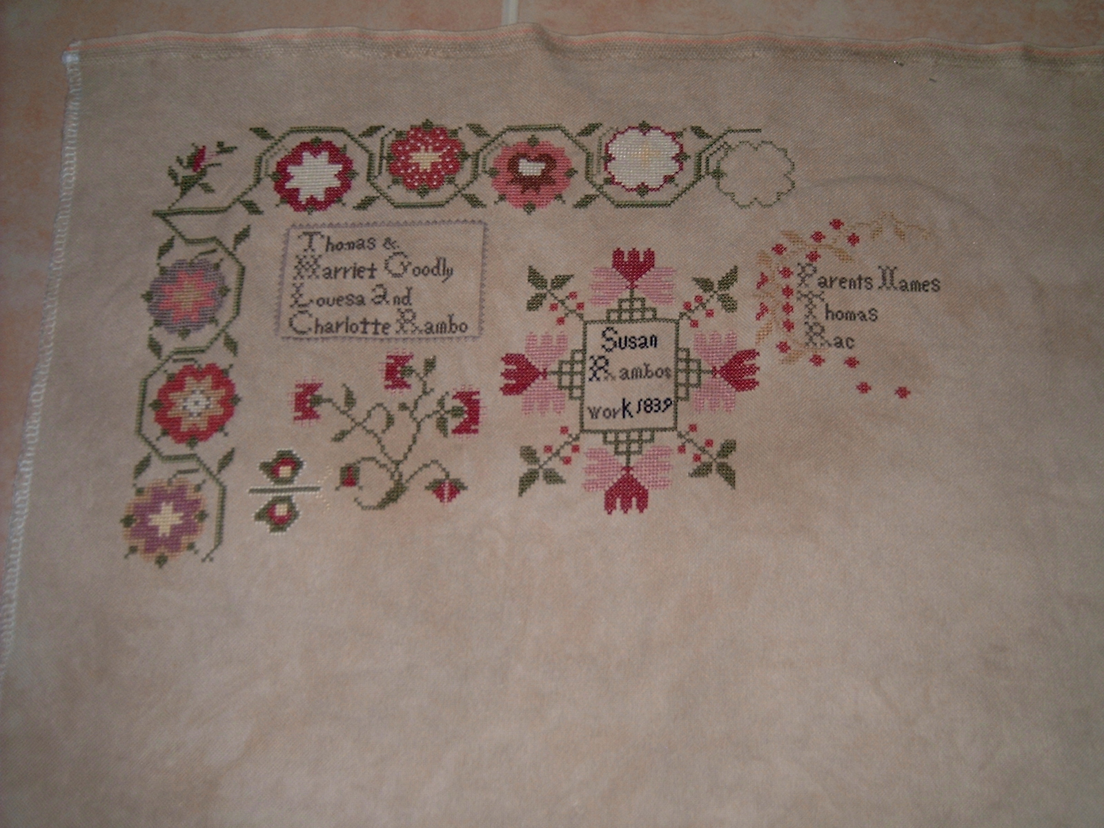 Azalea Sampler Guild and Friends: Susan Rambo Sampler - WIP